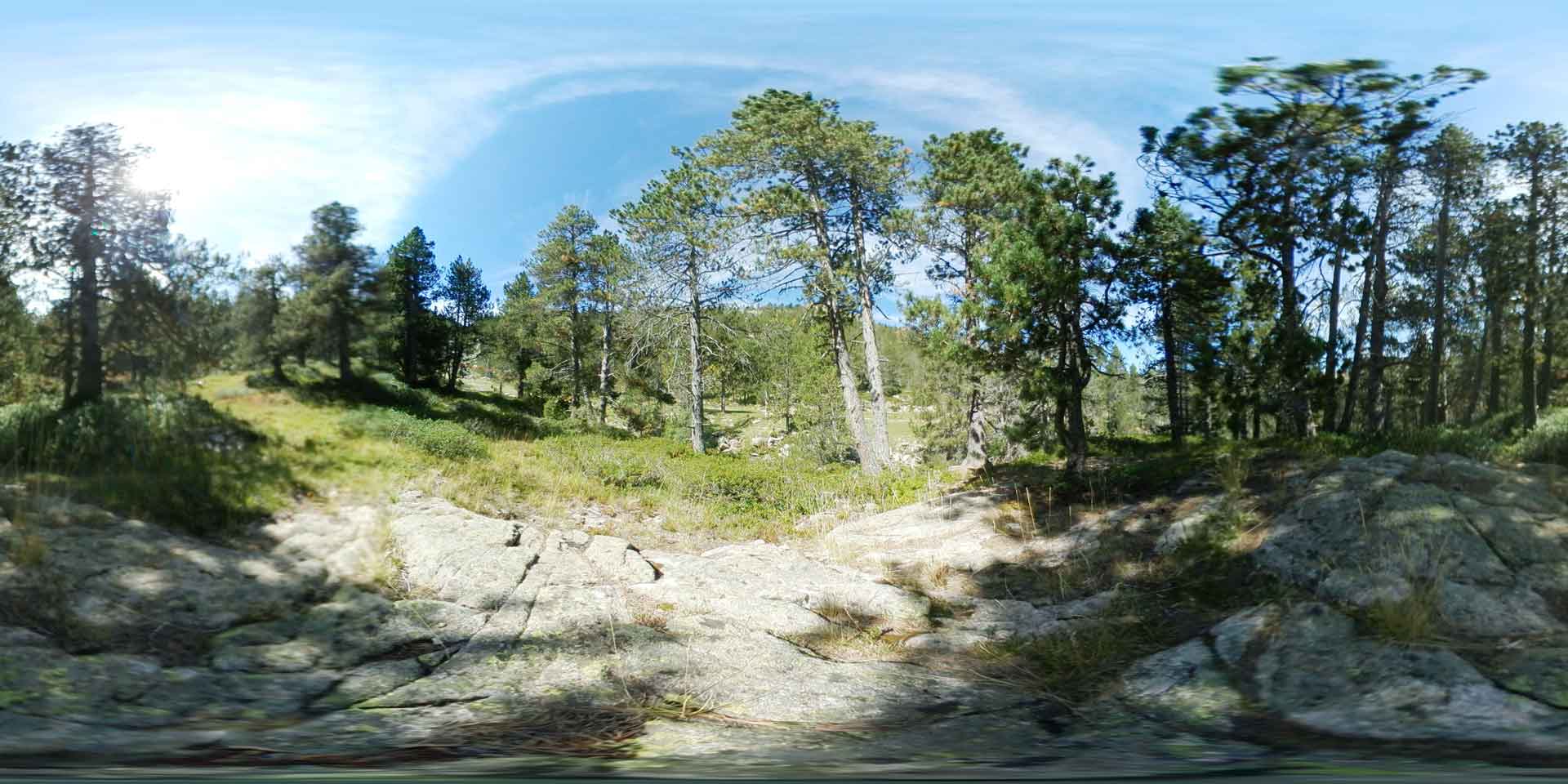 DESCARGAR IMAGENES 360 GRATIS | Fotografías y vídeos VR 360